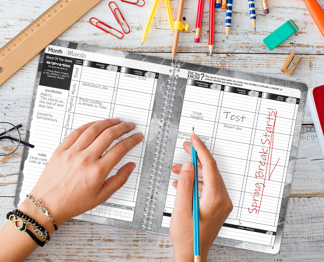 Meridian Student Planners Custom Primary Elementary Middle High School ...